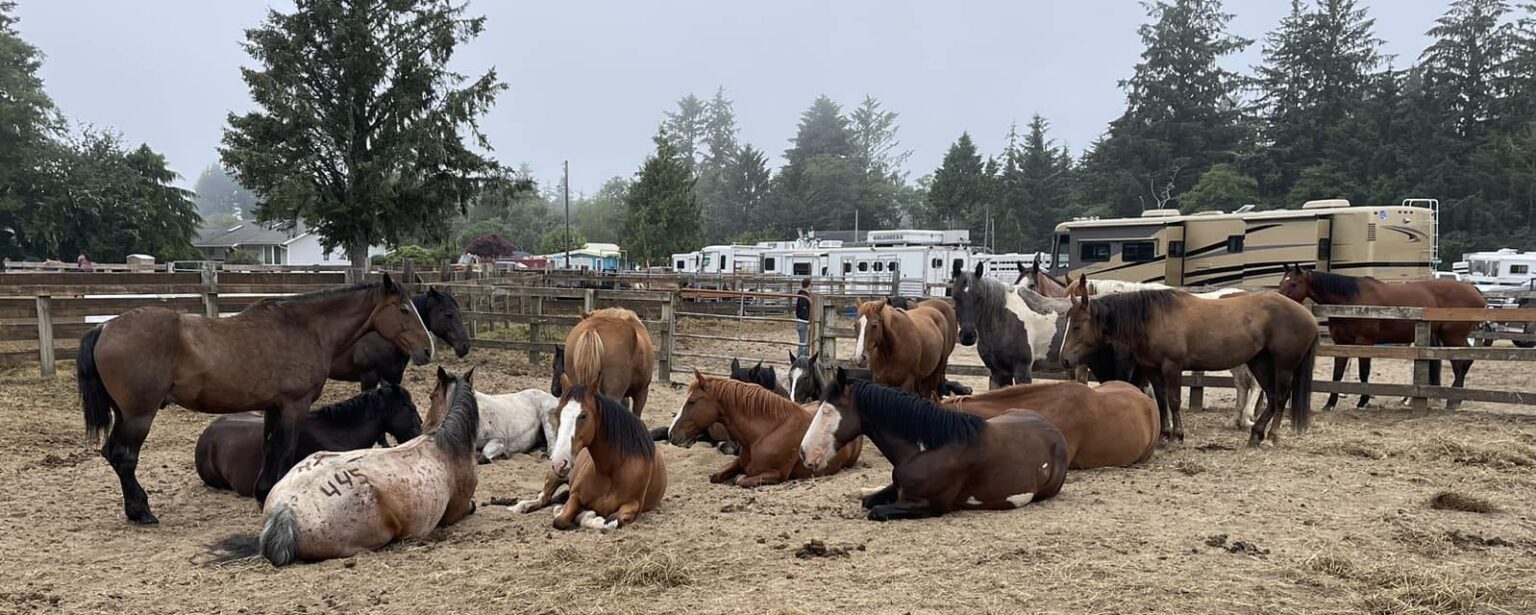 2025 Long Beach Rodeo | July 26-27, Long Beach, WA